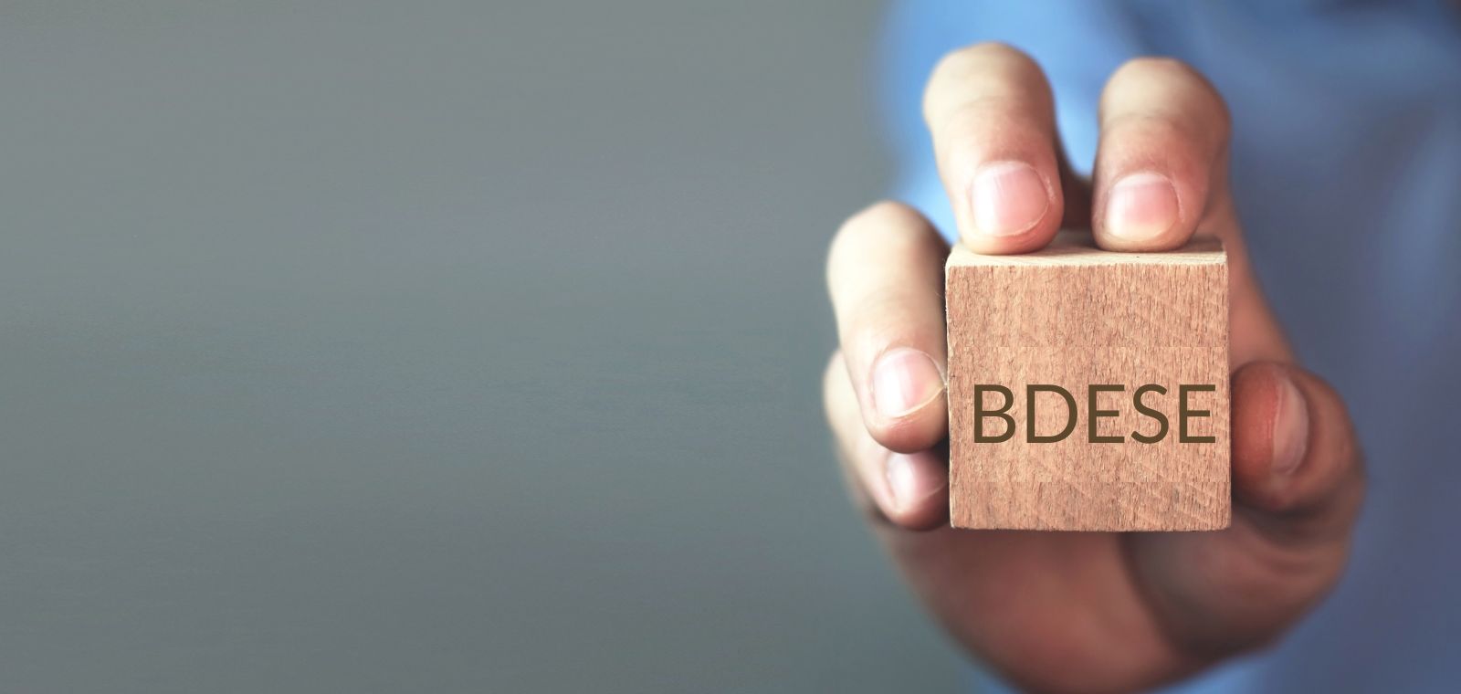 Comment mettre en place votre BDESE simplement ? | Webikeo